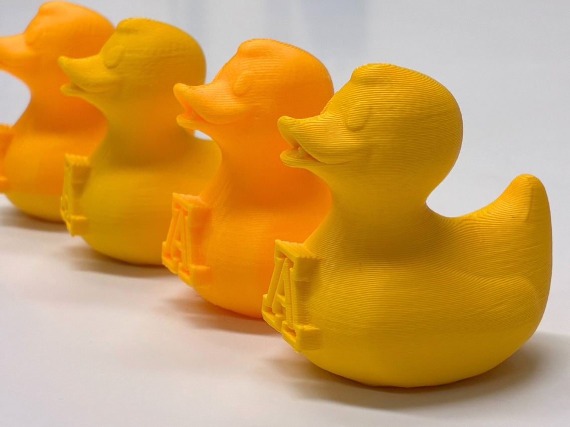 Lucky Ducks at Main Library! | Wildcat Welcome